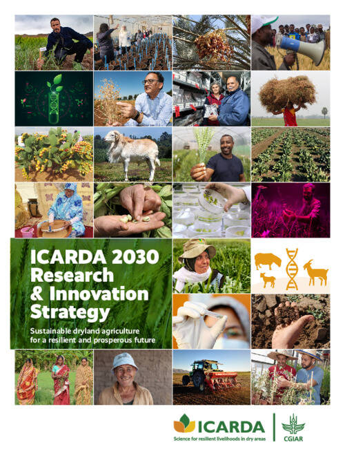 ICARDA 2030 Research & Innovation Strategy | ICARDA