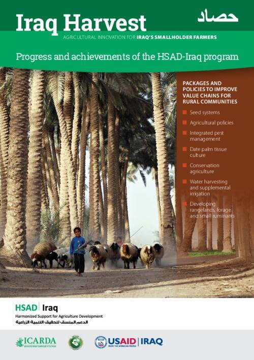 Iraq Harvest: Progress and achievements of the HSAD-Iraq program | ICARDA