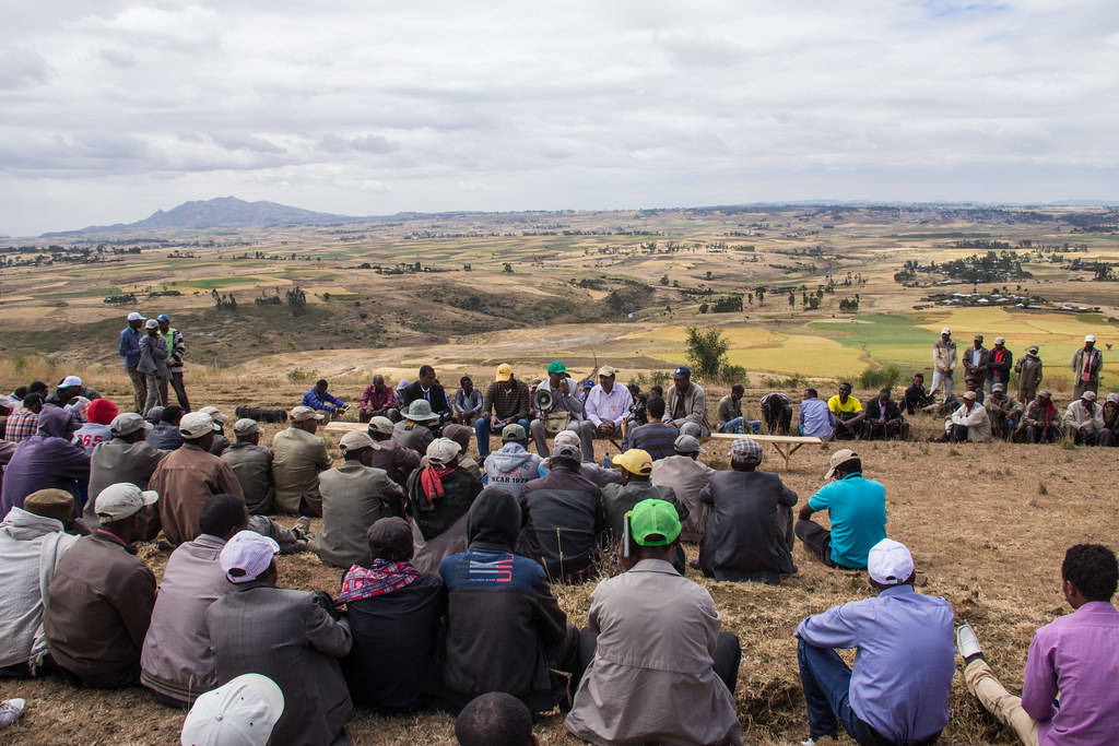 ICARDA News | ICARDA