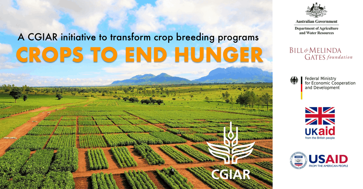 Launch of the “Crops to End Hunger” Initiative | ICARDA