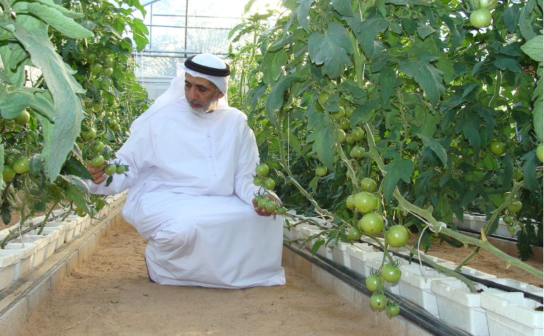 United Arab Emirates (UAE) | ICARDA