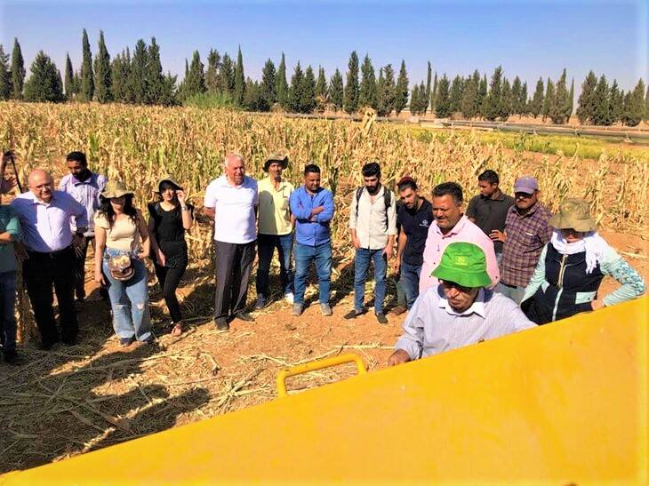 Capacity Development in Syria | ICARDA