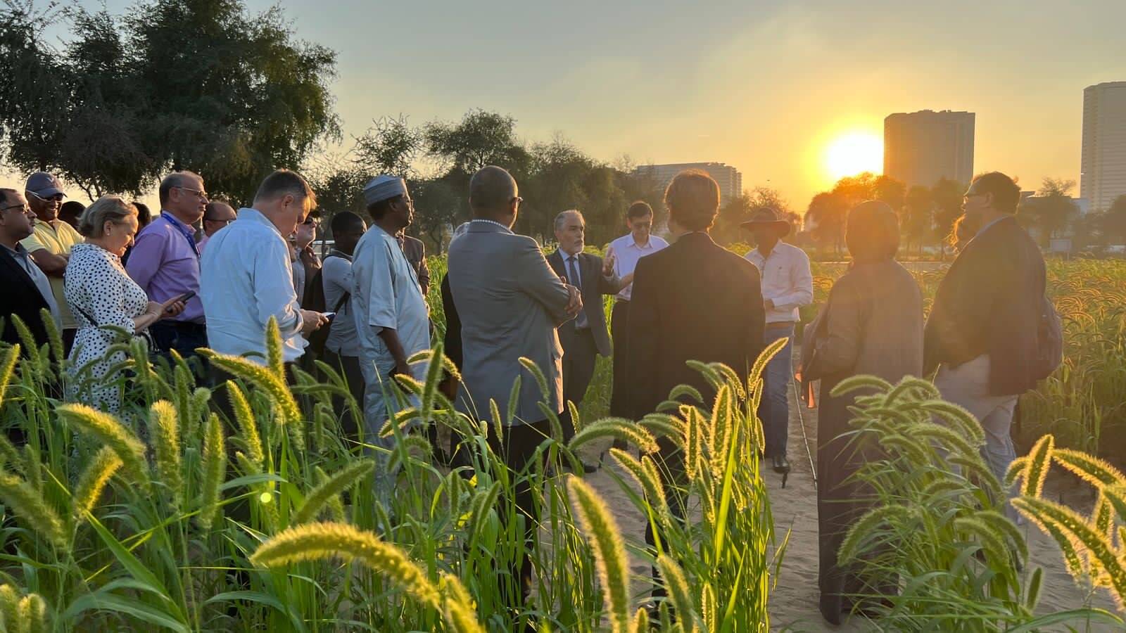 Field Visit | ICARDA