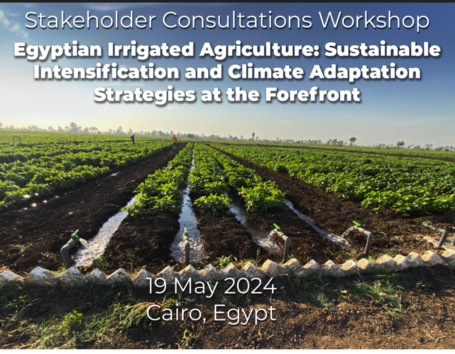 Stakeholder Consultations Workshop Egyptian Irrigated Agriculture ...
