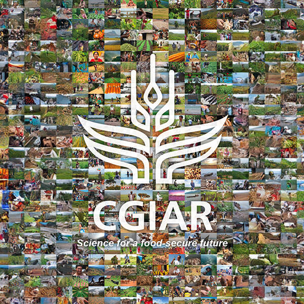 20th Meeting of the CGIAR System Council in Brazil (with side events) | ICARDA
