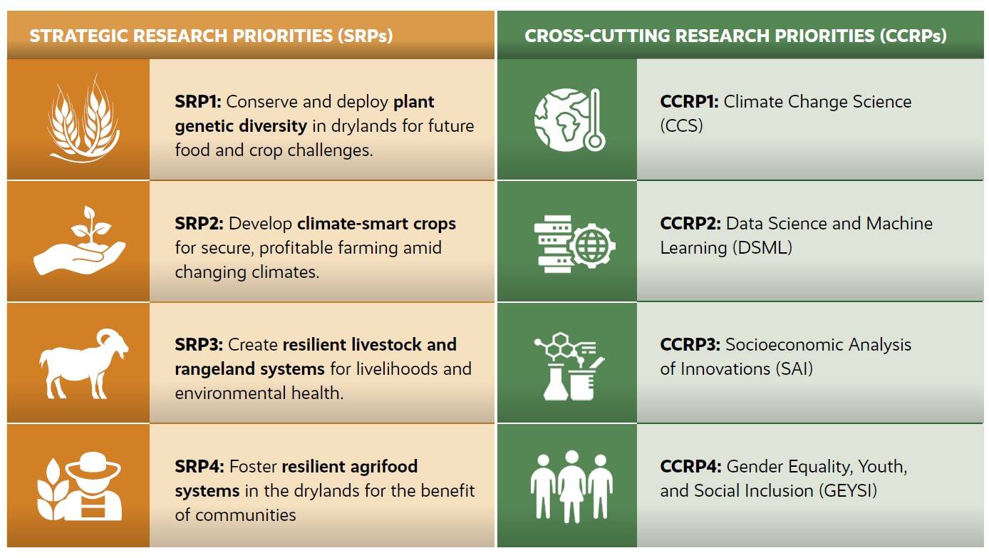 ICARDA’s 2030 Research and Innovation Strategy | ICARDA