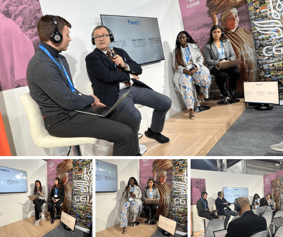 ICARDA at COP29: A Climate-Smart Blueprint for Drylands | ICARDA