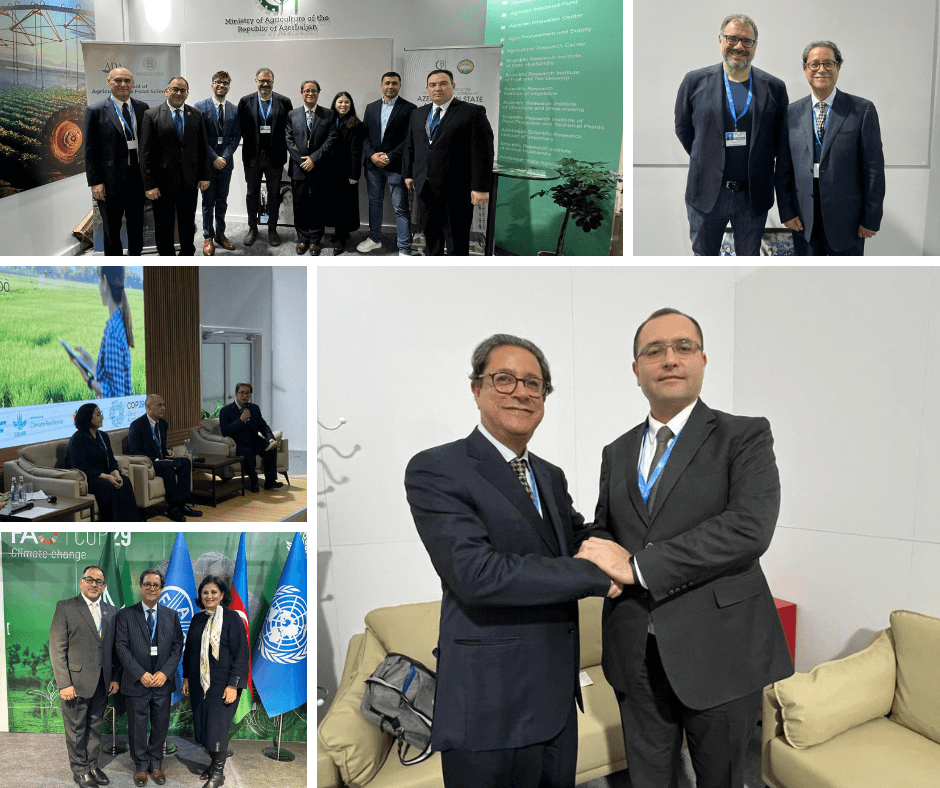 ICARDA at COP29: A Climate-Smart Blueprint for Drylands | ICARDA