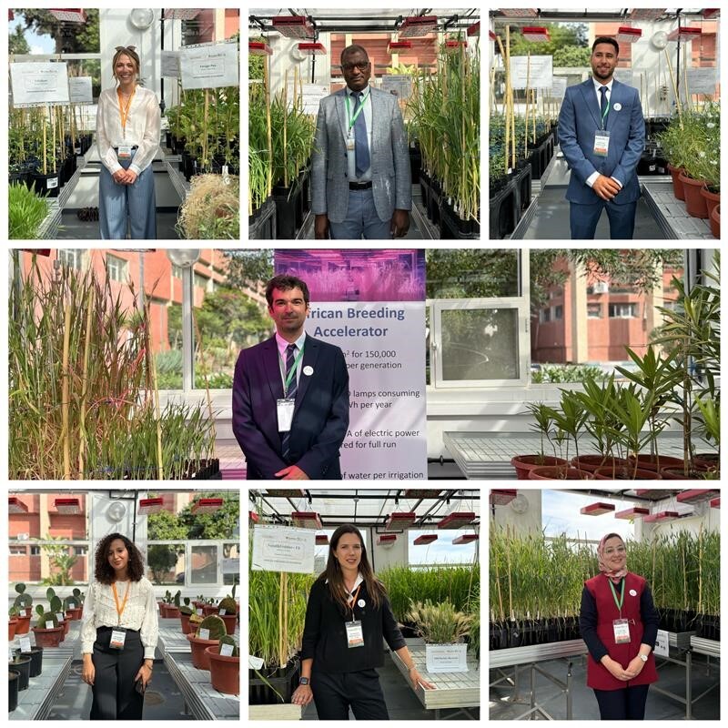 ICARDA Inaugurates the African Breeding Accelerator | ICARDA