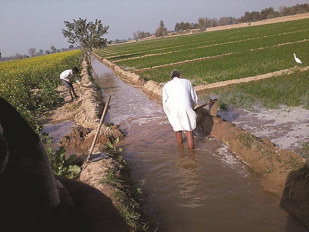 Scientists alert on dire need to revamp large-scale irrigation systems ...