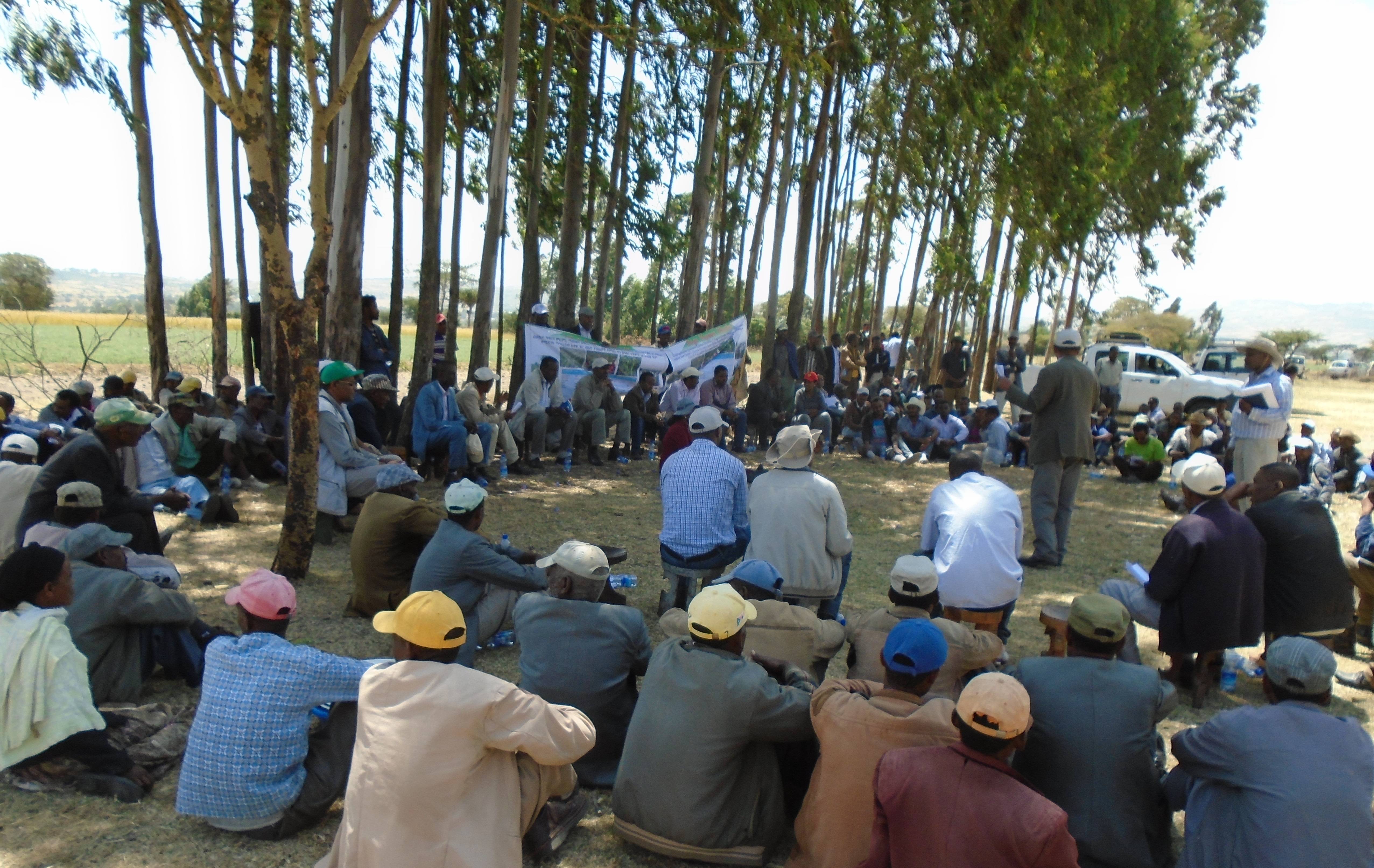 Partnering with Ethiopian farmers for quick deployment of malt barley ...