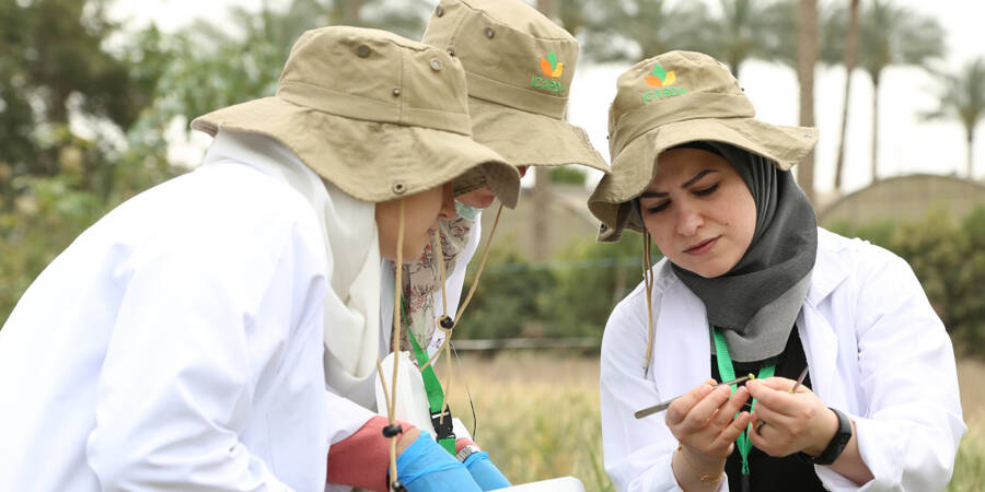 ICARDA’s 2030 Research and Innovation Strategy | ICARDA
