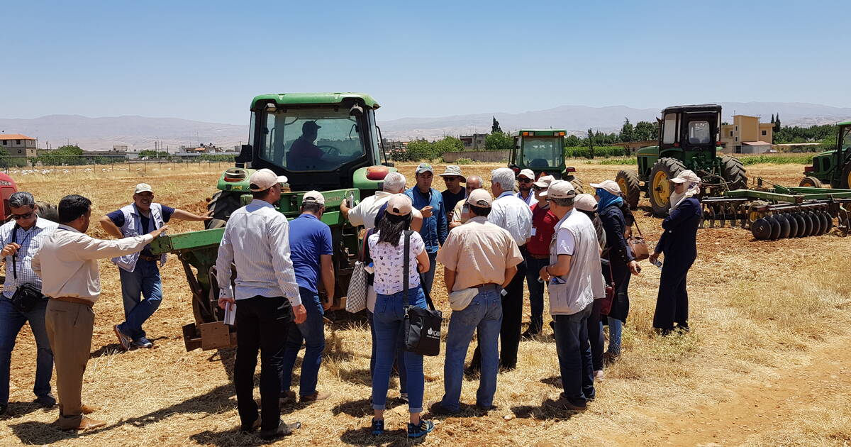Syrian agricultural experts refresh their crop management and seed ...