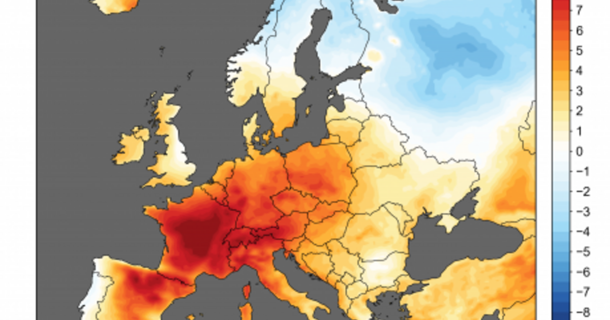 Wheat to beat the heat | ICARDA