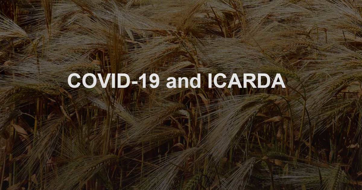 Maintaining our objectives | ICARDA