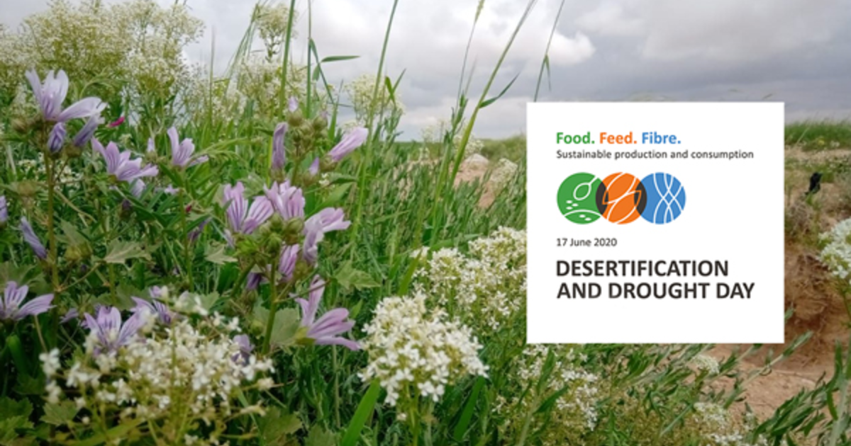 Reversing desertification to enhance food security | ICARDA