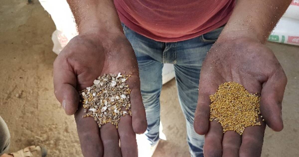 ICARDA Develops Mobile Seed Treatment Unit Prototype with Tunisian ...