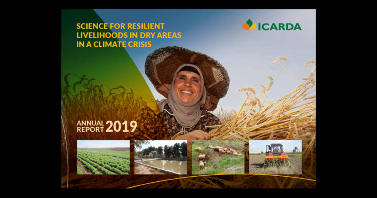ICARDA ANNUAL REPORT 2019 | ICARDA