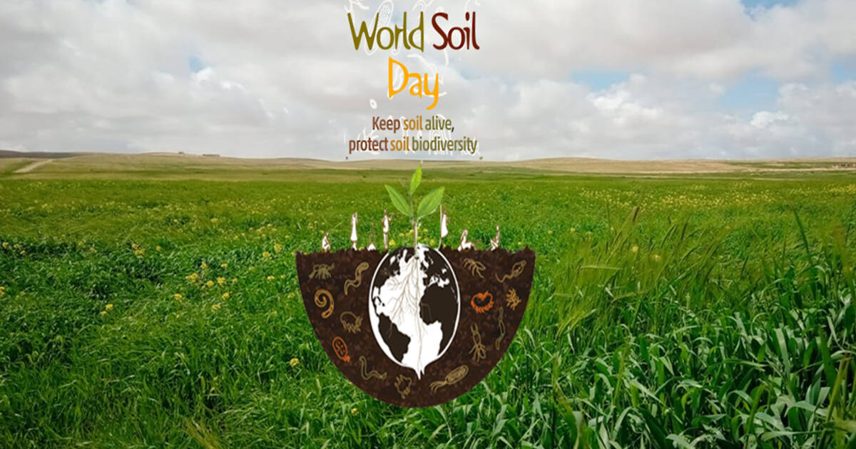 Protecting Soil, Protecting People | ICARDA