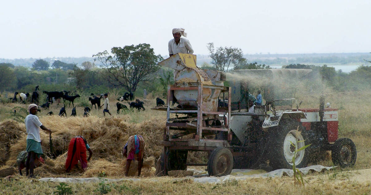 Indigenous Agricultural Knowledge for Better Farming Today | ICARDA