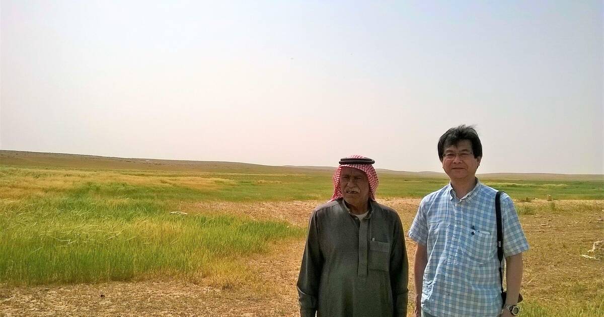 ICARDA and Japan: Decades of Scientific Partnership | ICARDA