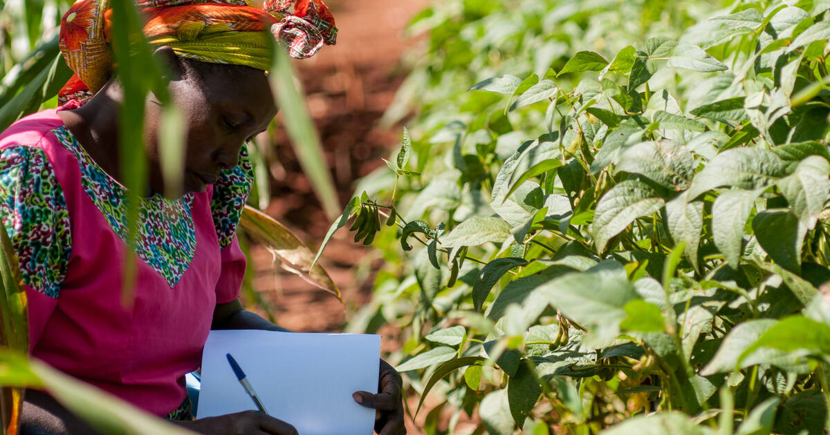 Gender Equality - A Cornerstone of Sustainable Food Systems | ICARDA