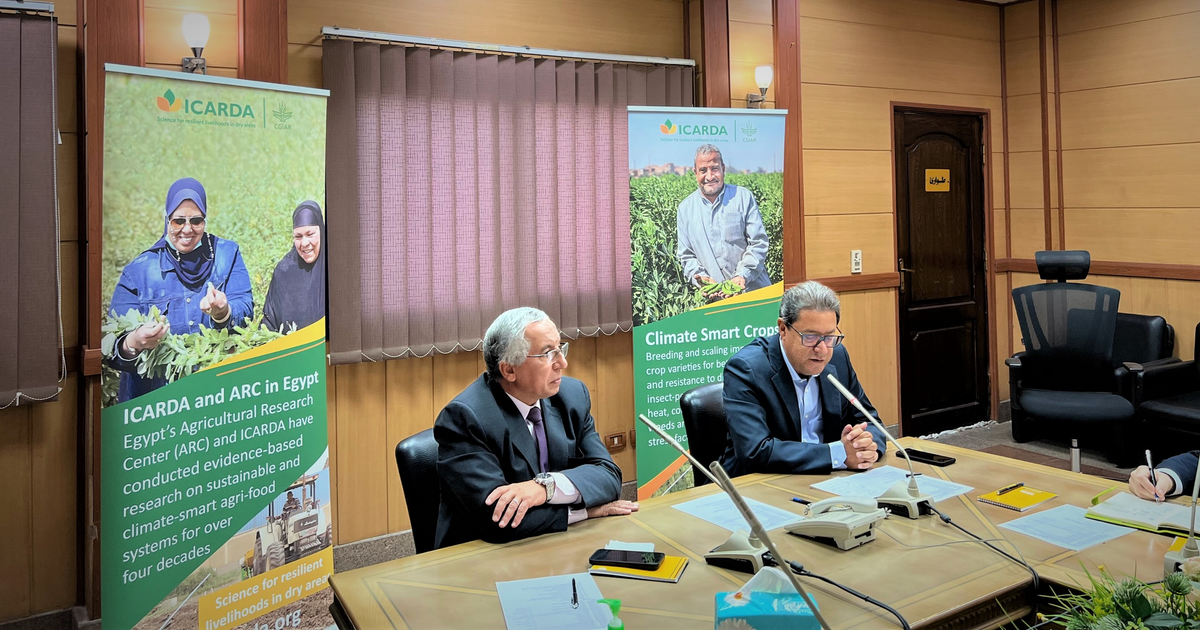 ICARDA AND ARC-EGYPT 2022 ANNUAL PLANNING MEETING | ICARDA