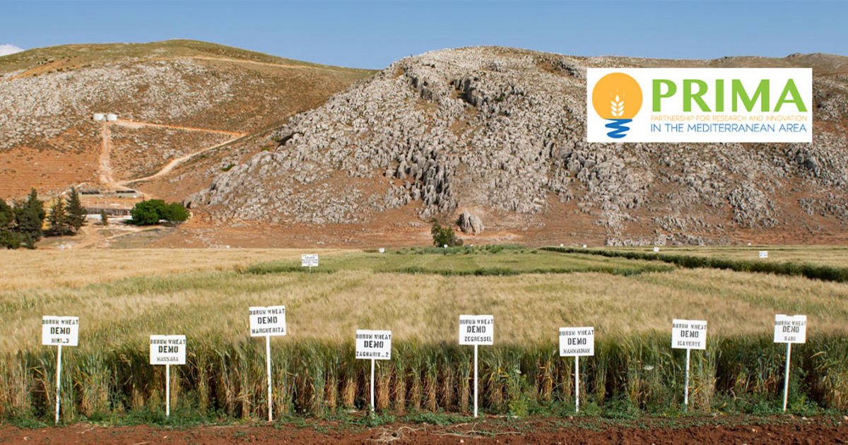 The MountainHER project kicks off! | ICARDA