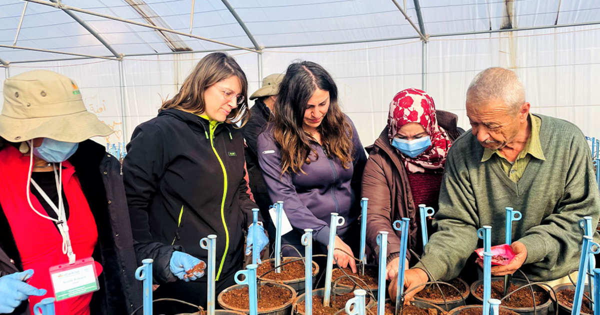 CWANA Workshop on Conservation and Use of Plant Genetic Resources | ICARDA