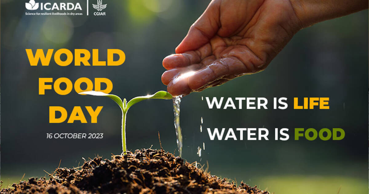 World Food Day 2023 - Water is Life, Water is Food | ICARDA