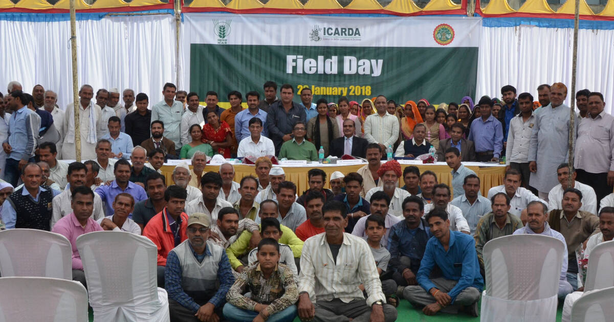 ICARDA introduces improved pulse varieties to farmers | ICARDA